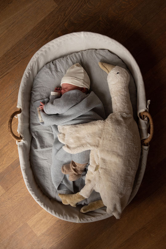 Shop All – The Archive Store